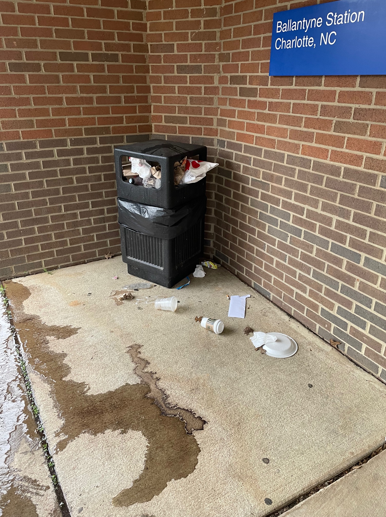 USPS, EV’s and Cornhole – High Truths and Low Lies